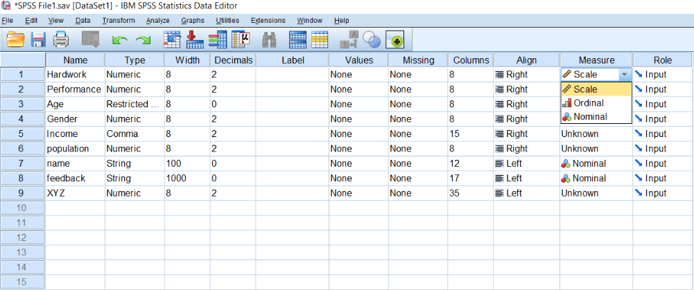 "What Is The Scale Of Measurement Used In SPSS?