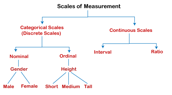 "What Is The Scale Of Measurement Used In SPSS?