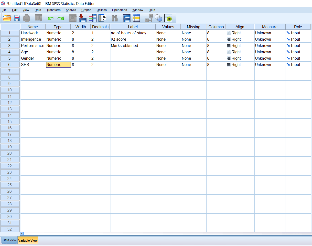 What Is The Meaning Or Purpose Of An SPSS Numeric Variable?