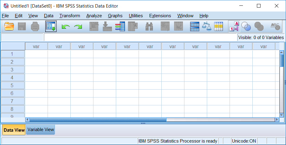 What Is The SPSS Environment?