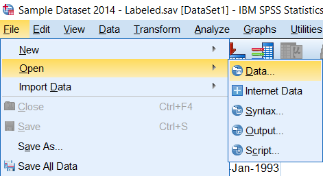 How Do I Import Data Into SPSS?