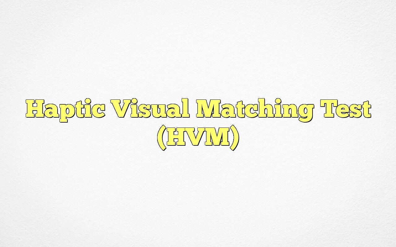 Haptic Visual Matching Test (HVM)